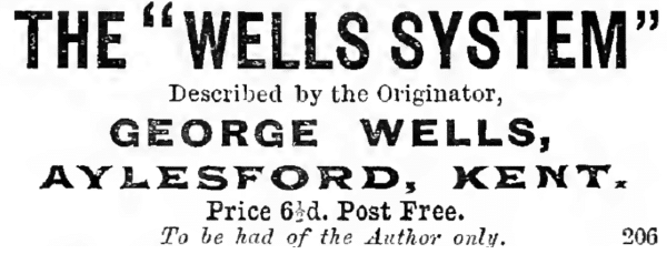 Bee Buzz Box February 2020 Doubling Hives - Part II The Wells System ...