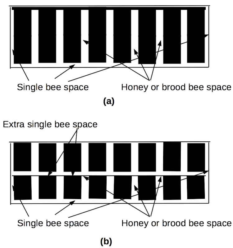Bee Buzz Box July 2020 - Bee Space - ACT Beekeepers Association